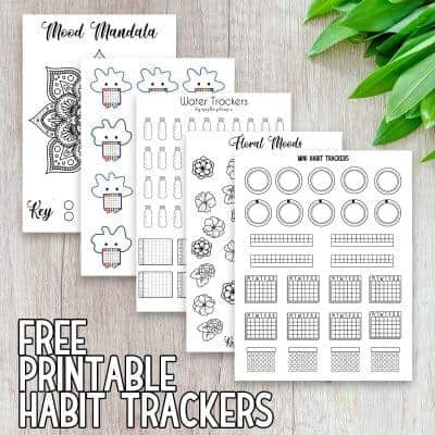 How To Use A Bullet Journal Habit Tracker | Masha Plans