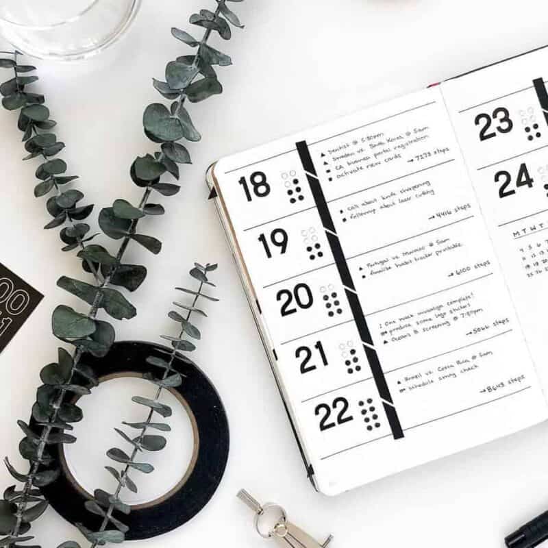 31+ Minimalist Bullet Journal Weekly Spreads For Busy People | Masha Plans