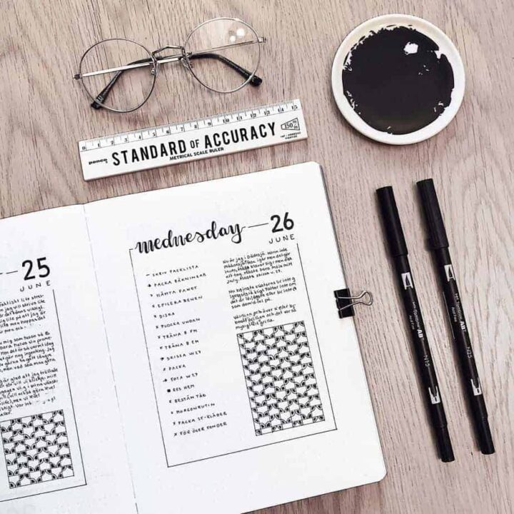 15 Bullet Journal Daily Log Examples