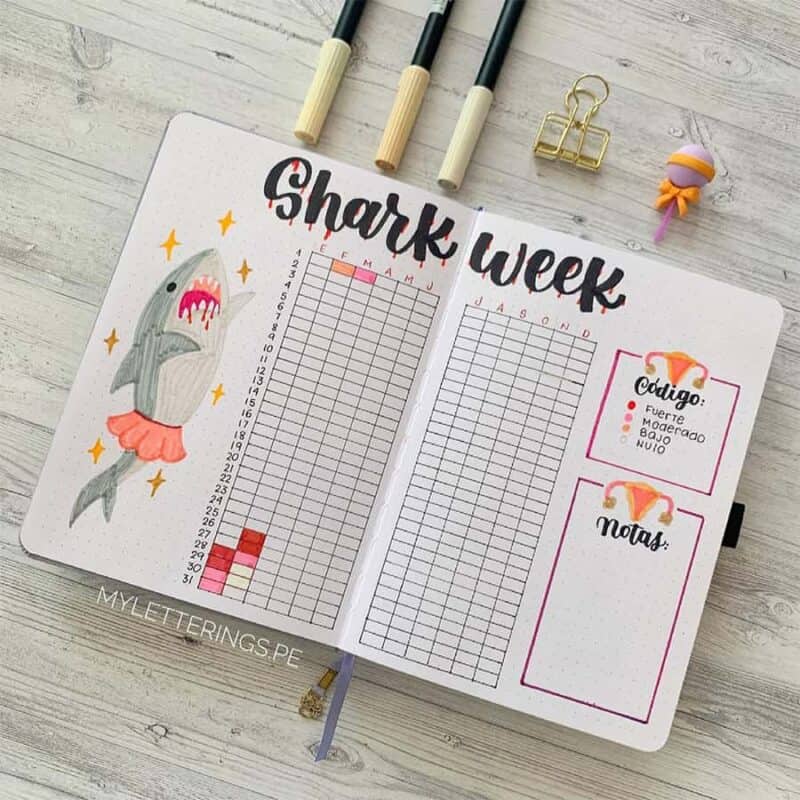 25 Best Period Tracker Bullet Journal Page Ideas | Masha Plans