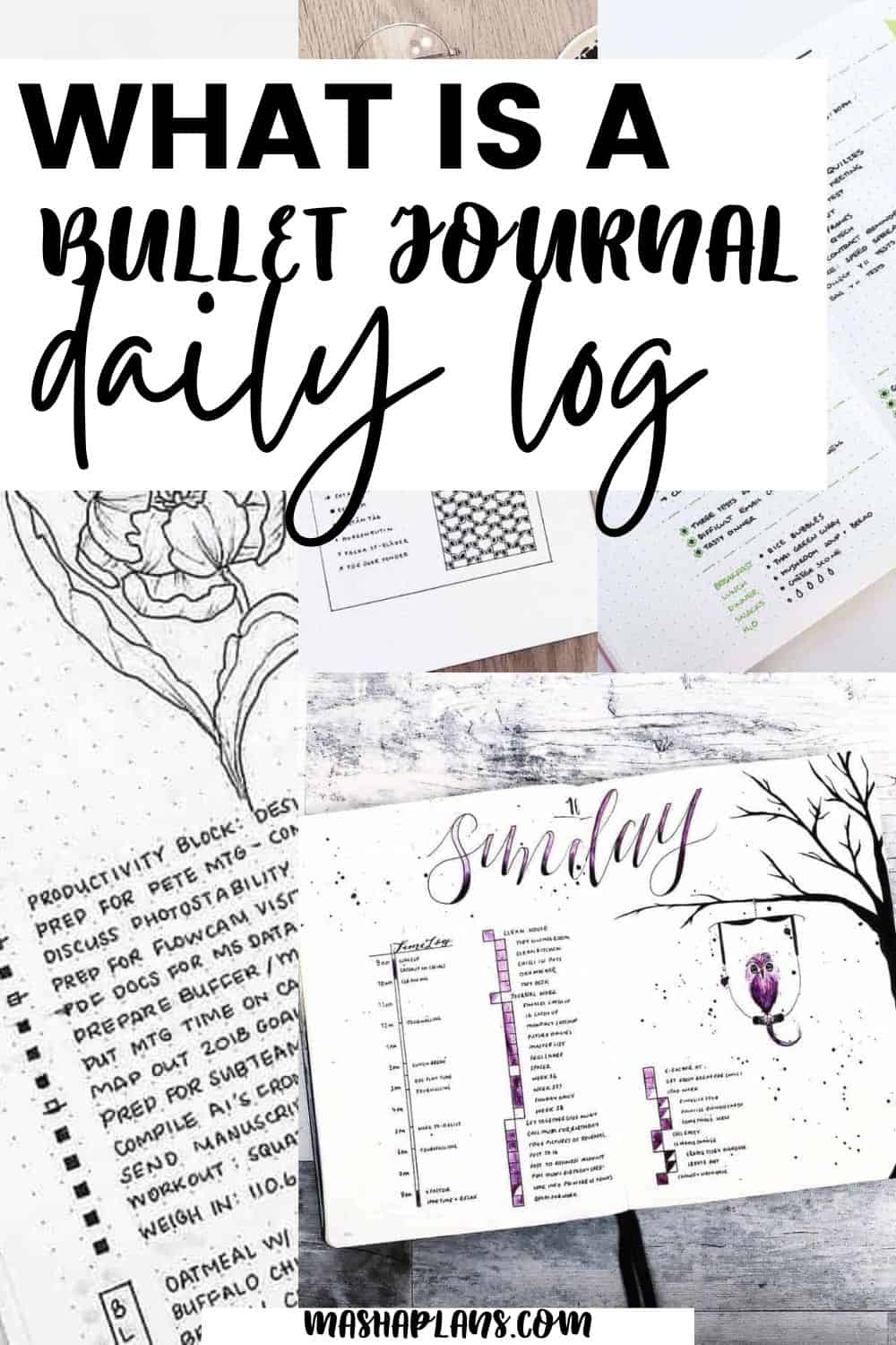 What Is A Bullet Journal Daily Log | Masha Plans