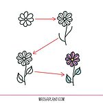 Cute & Easy Spring Flower Doodle Ideas | Masha Plans