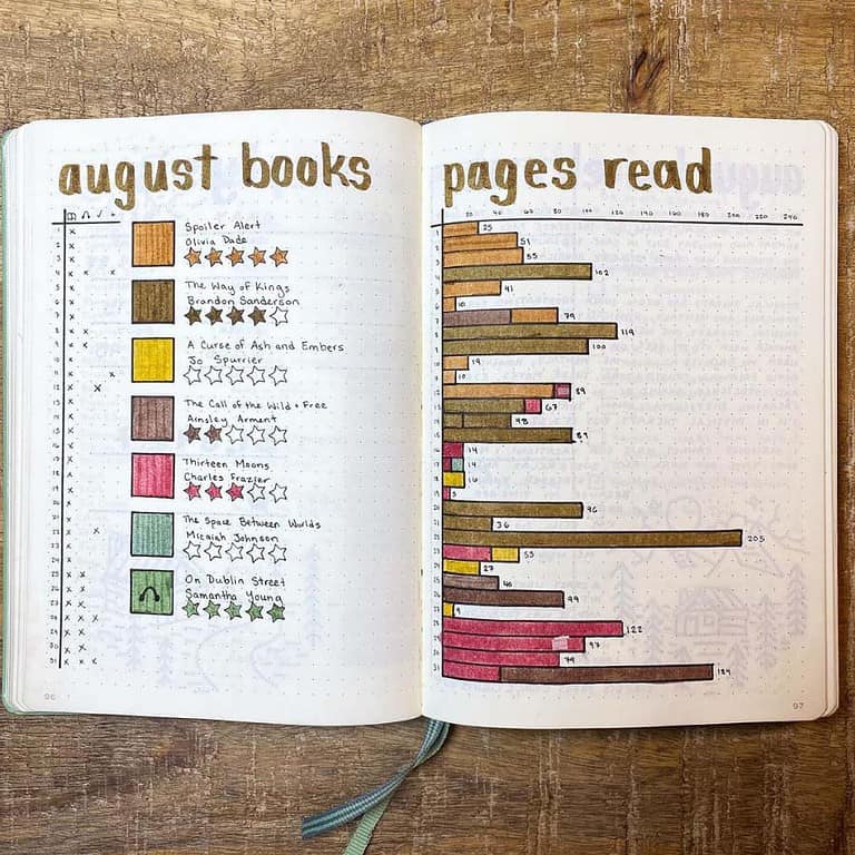 Page Tracker Bullet Journal Inspirations | Masha Plans