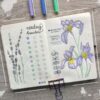 Page Tracker Bullet Journal Inspirations | Masha Plans