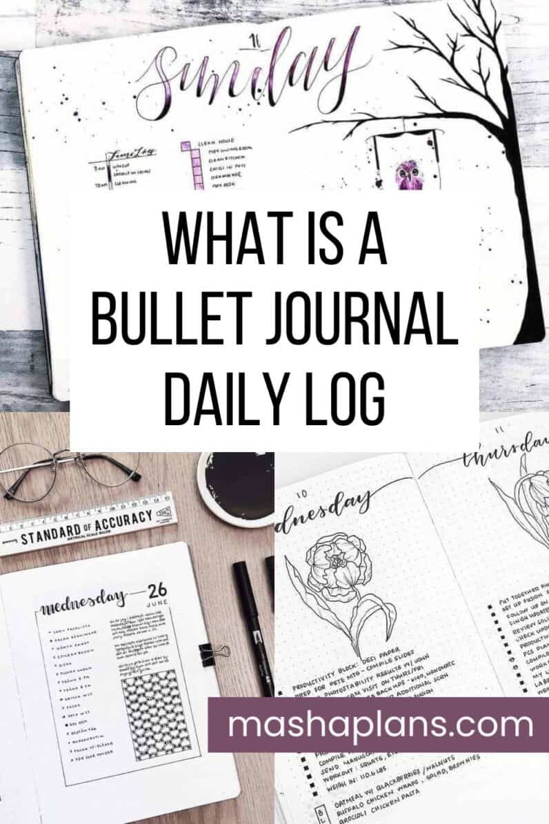 What Is A Bullet Journal Daily Log | Masha Plans