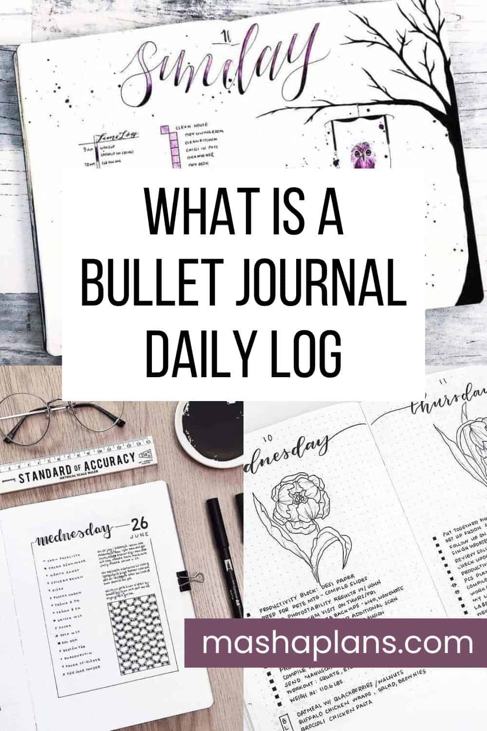 What Is A Bullet Journal Daily Log | Masha Plans