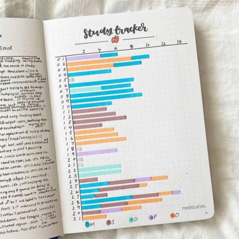 11 Genius School Bullet Journal Ideas You Need to Try | Masha Plans