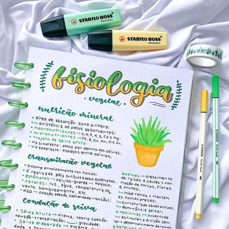 Stunning Bullet Journal School Notes Inspirations | Masha Plans