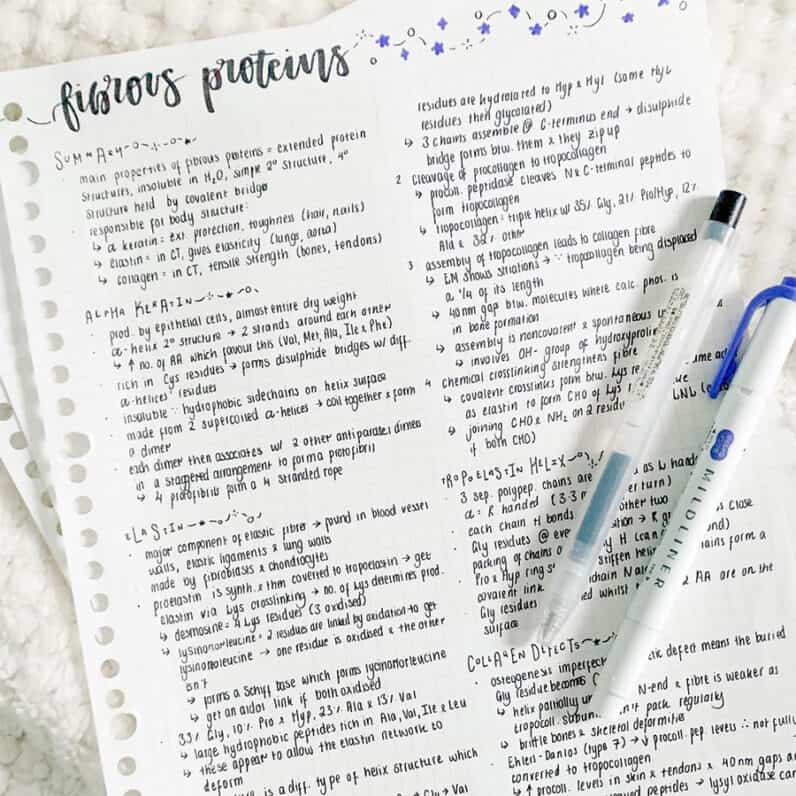 Stunning Bullet Journal School Notes Inspirations | Masha Plans