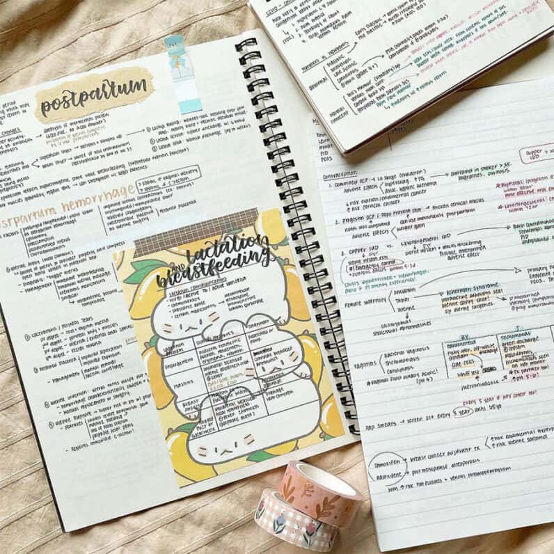 Stunning Bullet Journal School Notes Inspirations | Masha Plans