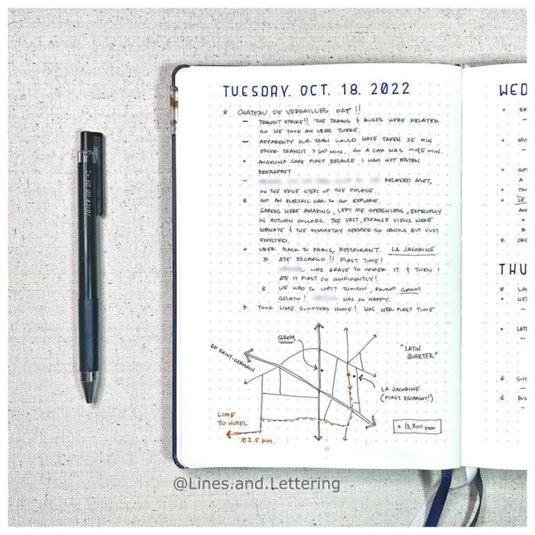 15 Bullet Journal Daily Log Examples