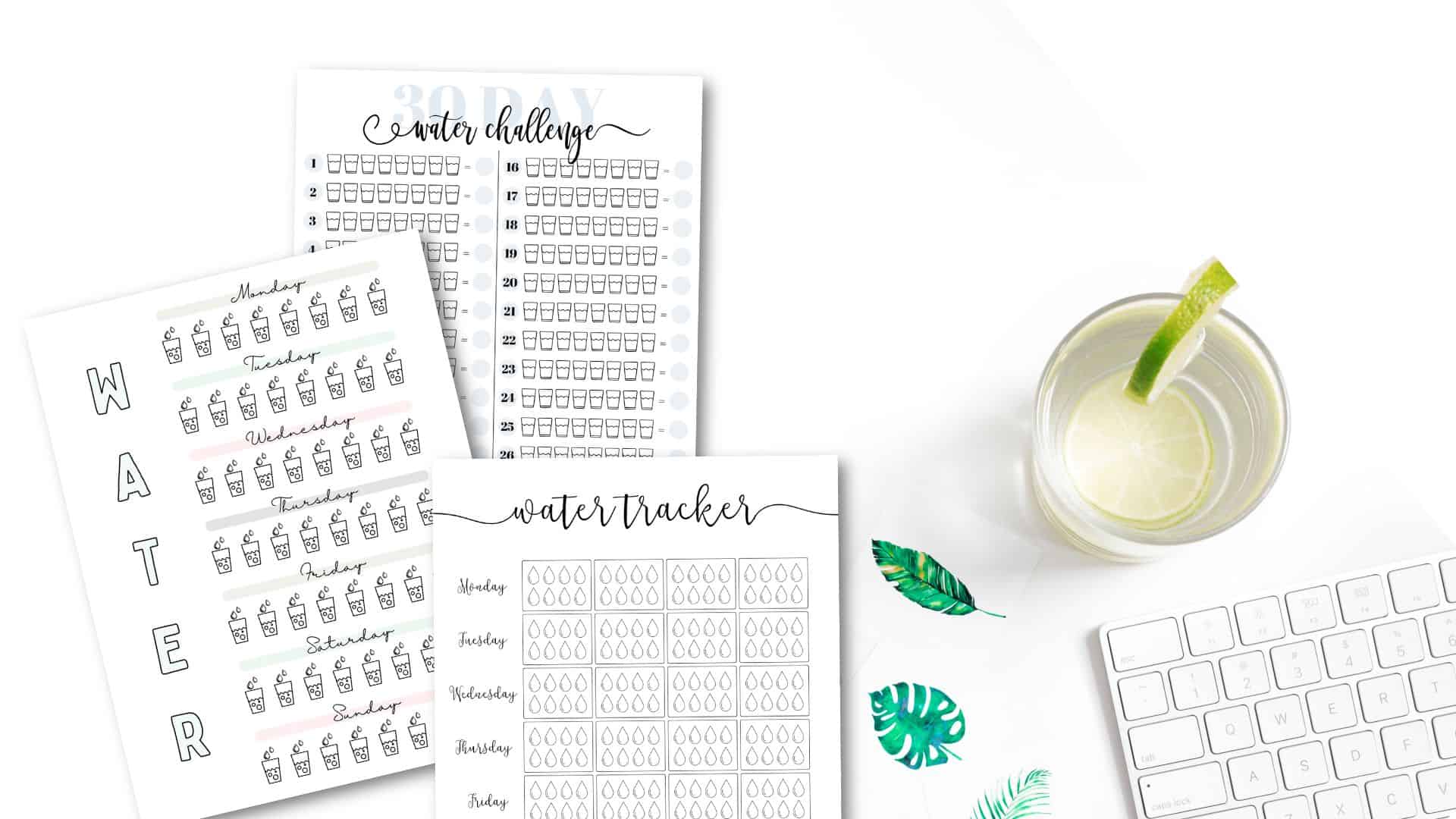 Free Printable Water Intake Trackers