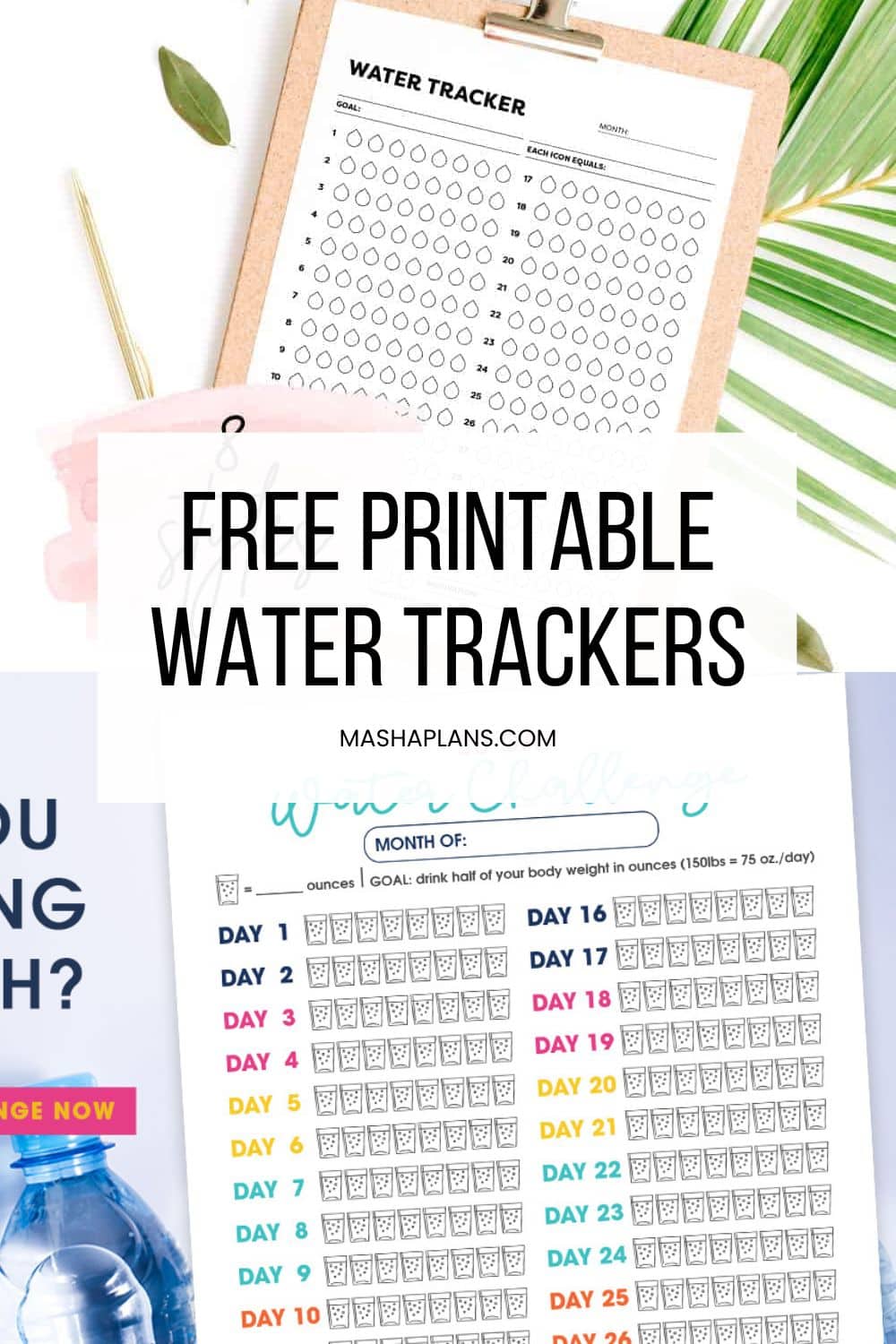 Free Printable Water Intake Trackers